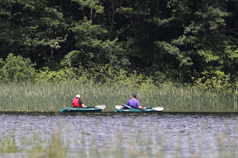 Goose Pond Ma Waterfront Real Estate at Fernando Smith blog