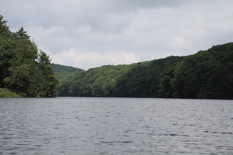 Goose Pond, MA - June 27, 2009
